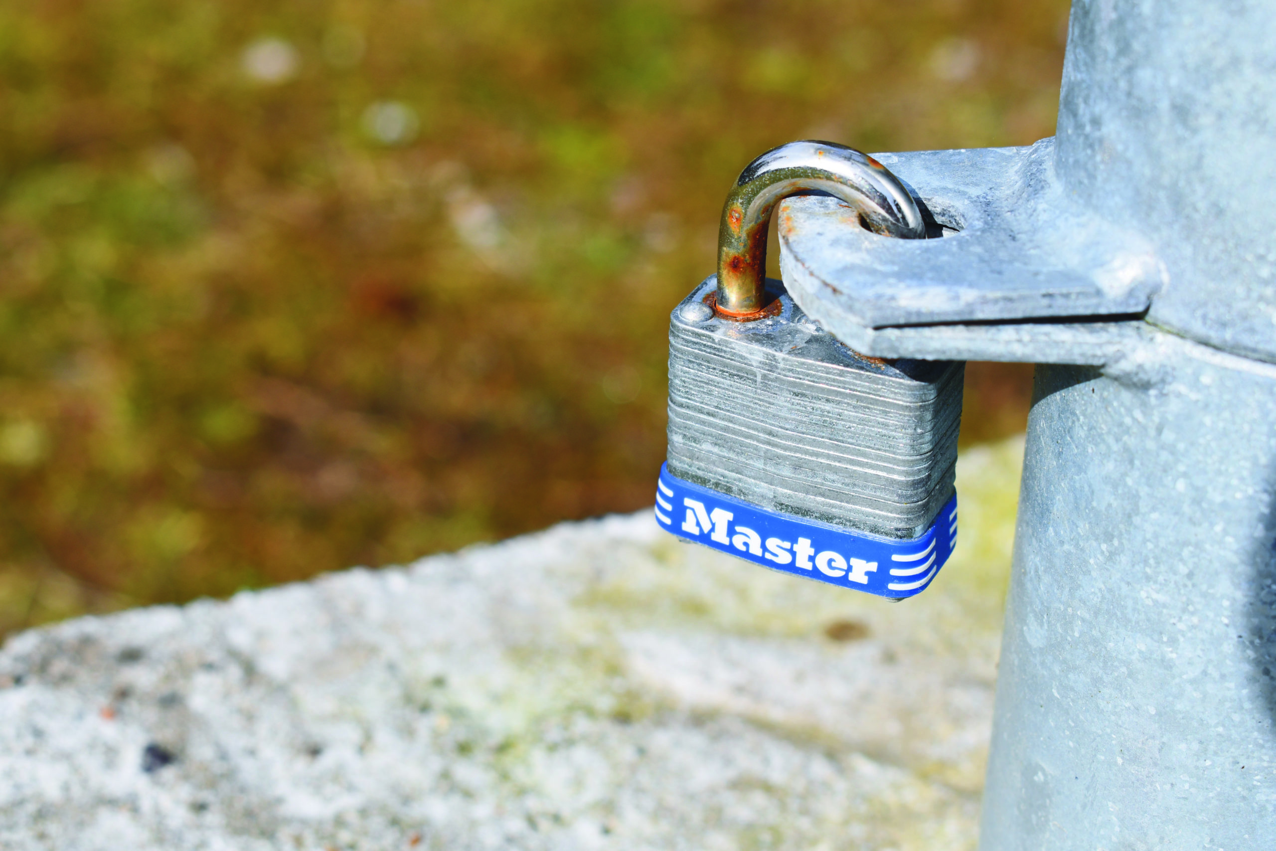 Union Label and Service Trades Department, AFL-CIO | America is at its ...